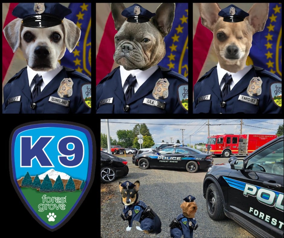 The Forest Grove Police Department is lying to you