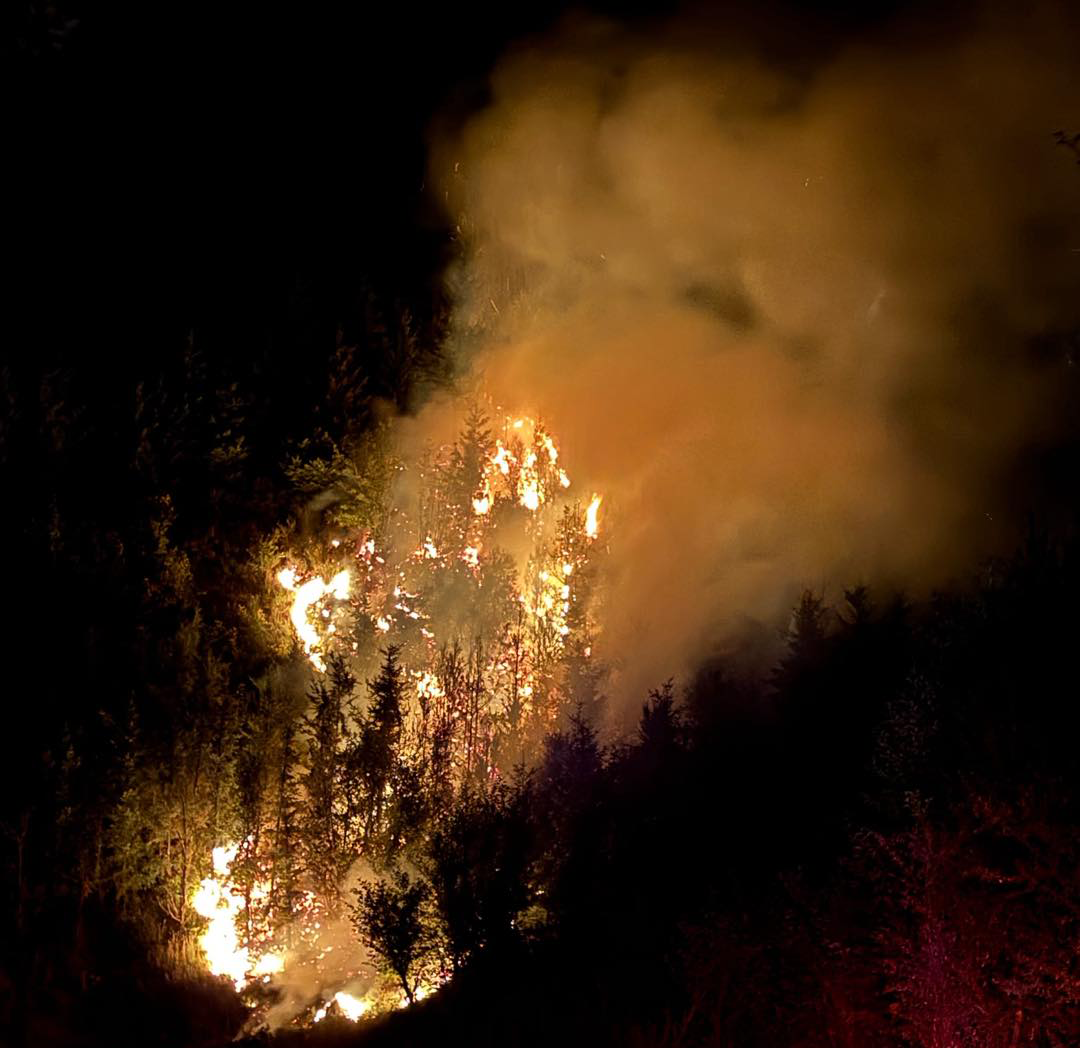 Five firearm-related fires in forest has Forest Grove forestry ...