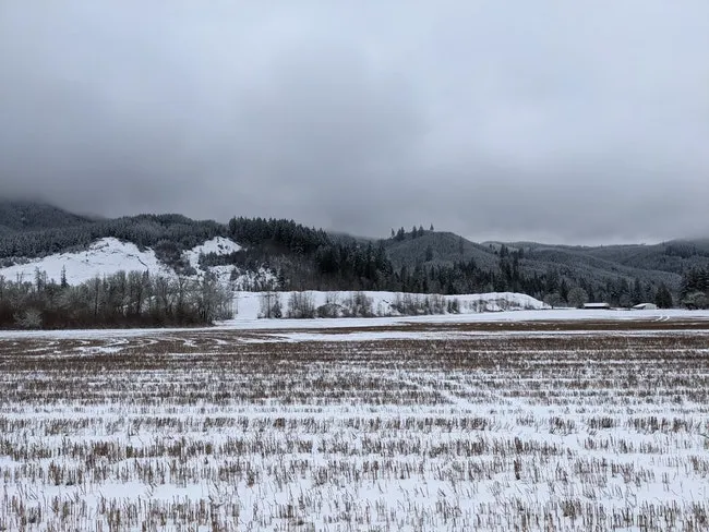 'Abnormal Market Disruption' declared as state tries to quash reported ...